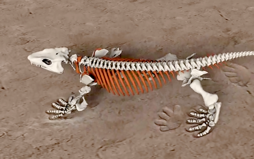 Jonas Lauströer wird Dozent im Master Knowledge Visualization – Master Knowledge Visualization