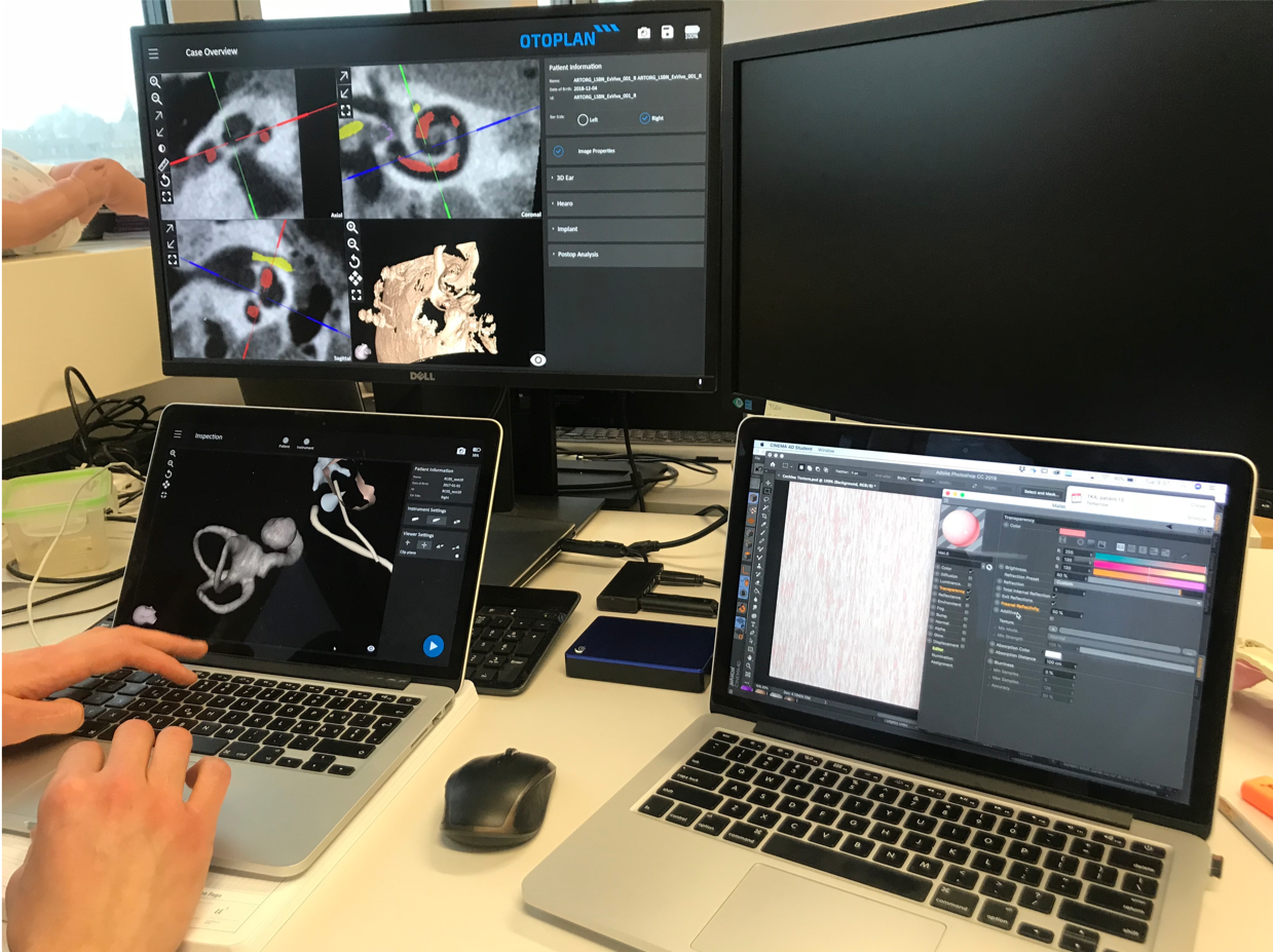 Journey to the Inner Ear – Master Knowledge Visualization