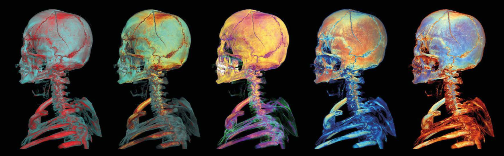 Studium – Master Knowledge Visualization