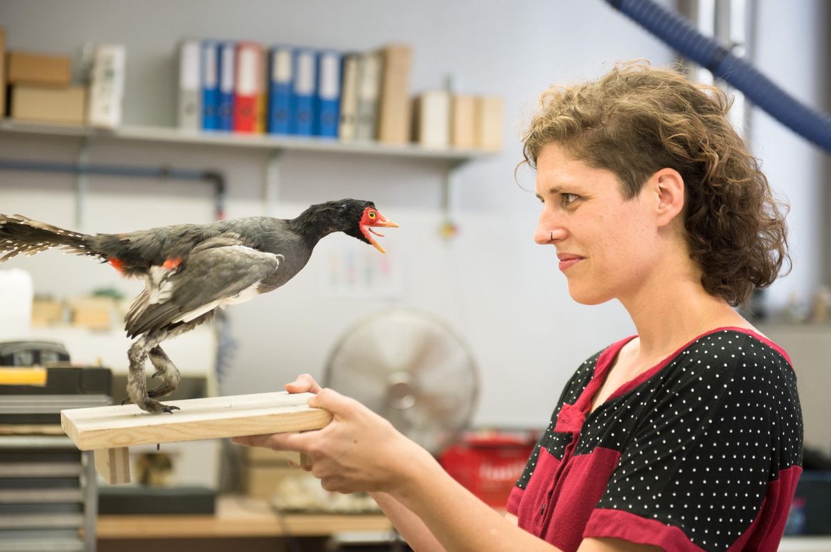 Interview mit Tandra Fairbanks-Freund – Praxisjournal Knowledge ...