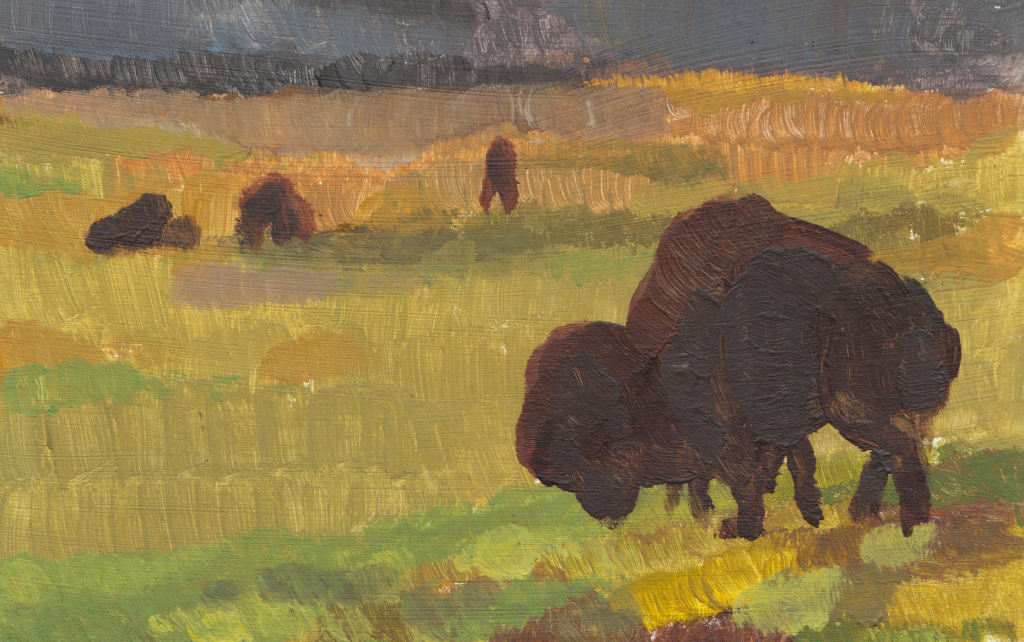sketches – buffalo-jump